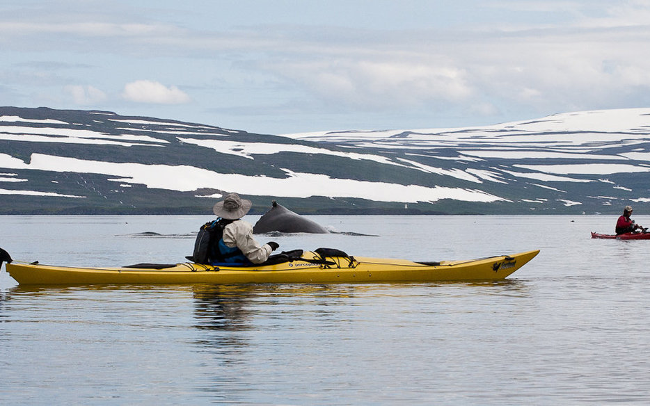 Paddling Adventure in the Icelandic Wilderness | AQUA-FIRMA