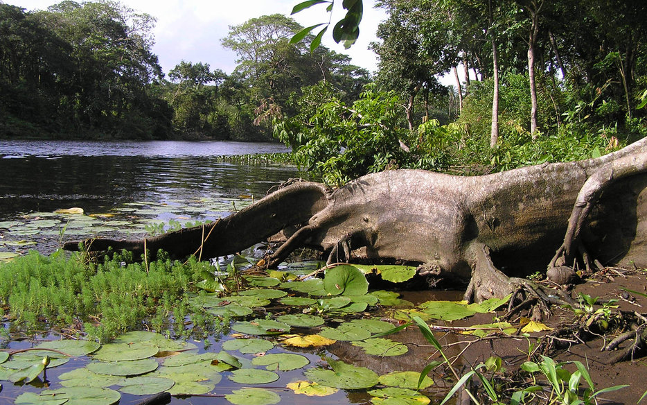 River & Lake journeys to the Amazon Congo Nile tributary by kayak canoe ...