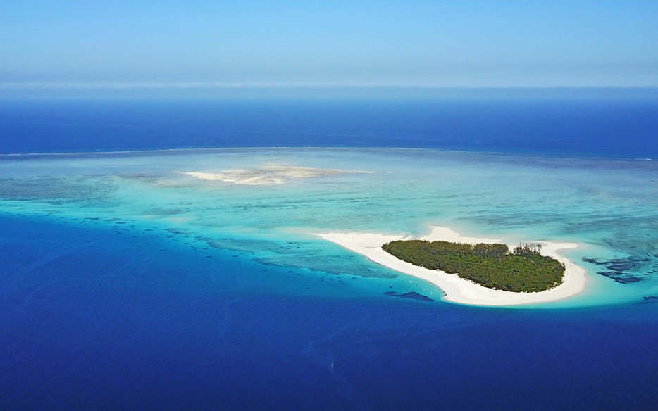 Tropical Islands for Coral Reefs diverse fish life in the Maldives ...