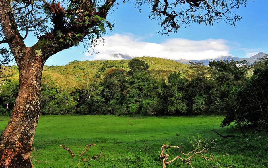 Arusha | Tanzania Travel & Safari Guides | AQUA-FIRMA