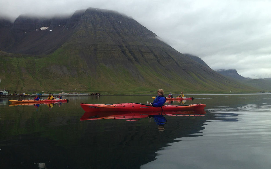 Calm Water Kayaking North Iceland Wildlife Summer Adventure