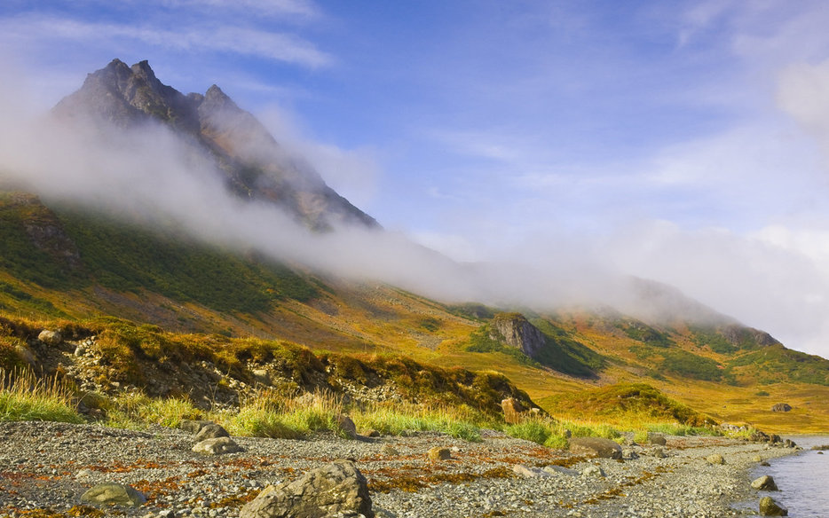 Temperate environments