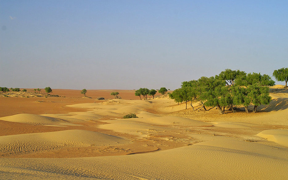 Desert Safari Oman Empty Quarter Wahiba Sands 4WD four wheel drive ...
