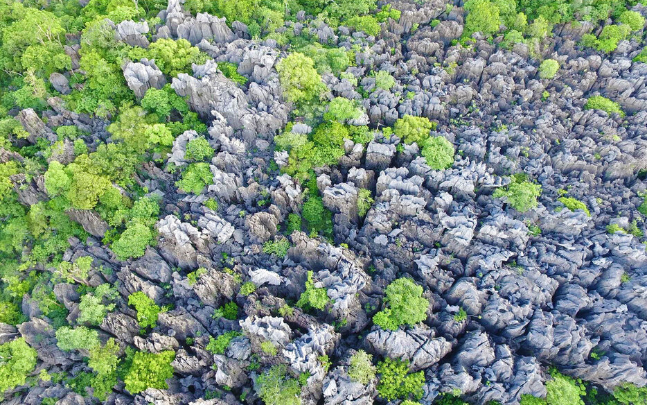 Ankarana Reserve | Guide to its Tsingy Lemurs & Karst Scenery