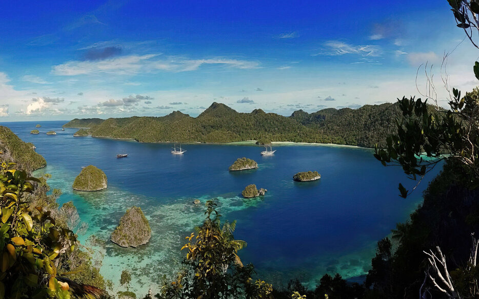 Raja Ampat Cruise Adventure | Indonesia Sailing Voyages | AQUA-FIRMA