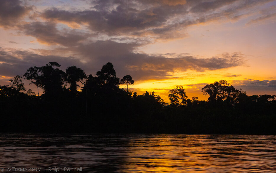 Amazon River Cruises | Deep Amazon in Brazil | AQUA-FIRMA