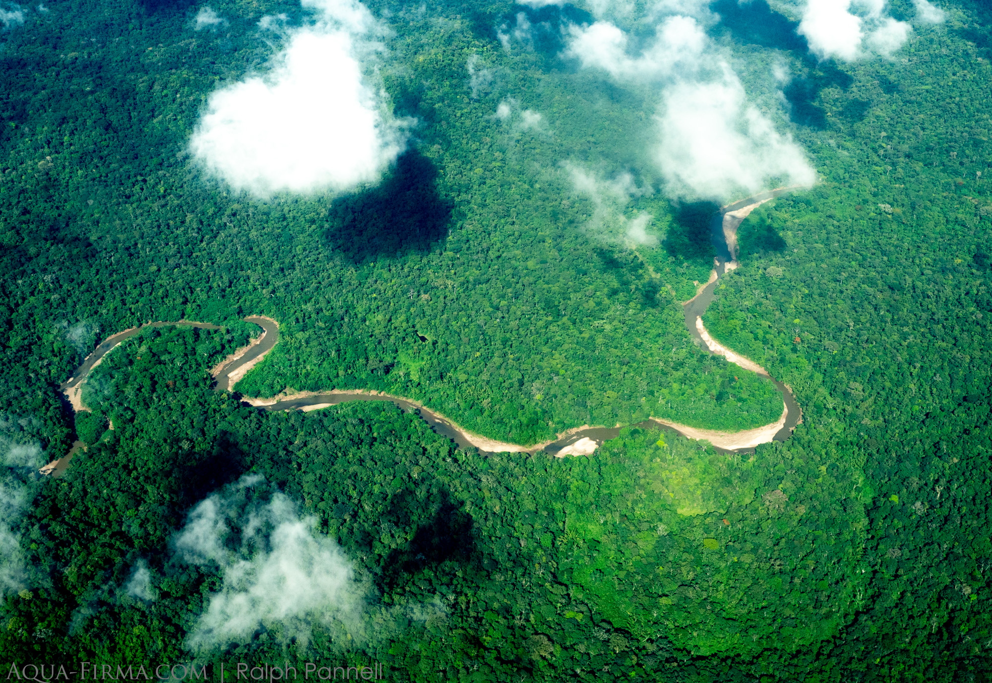 Amazon Andes Rainforest Photo Gallery | AQUA-FIRMA