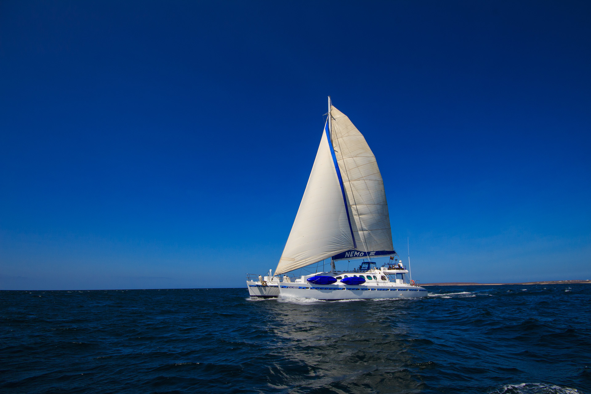 Galapagos Islands Wildlife Cruise Nemo III | AQUA-FIRMA