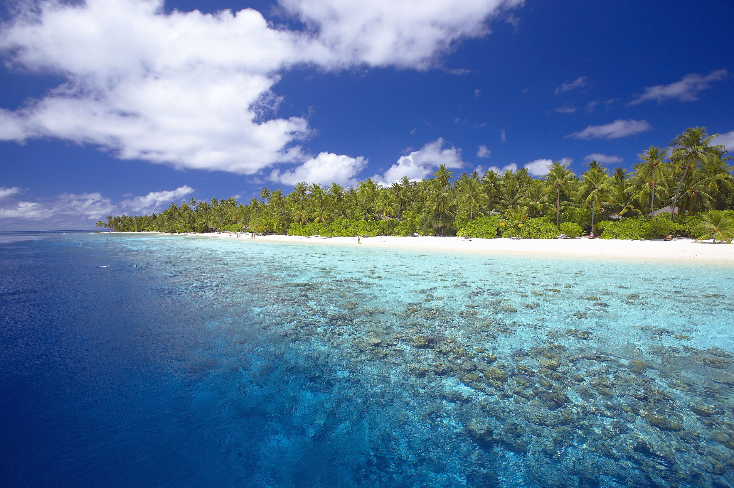 Maldives Resort | Filitheyo Island Faafu | AQUA-FIRMA Diving Snorkel ...